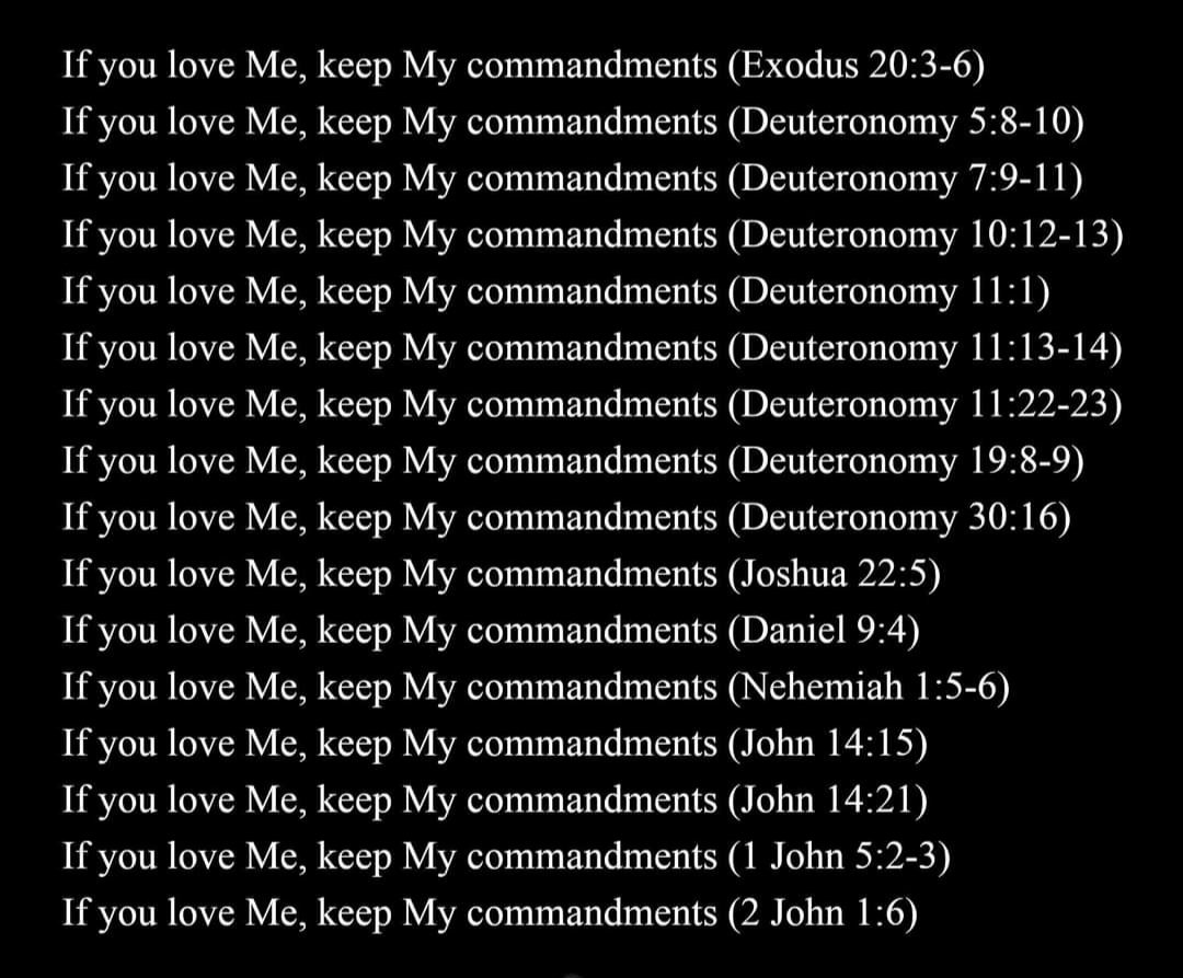 The DEFINITION of a Religious Nutcase | SoSpression Blog